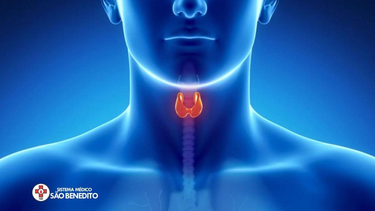 Endocrinologia – Sistema Médico São Benedito